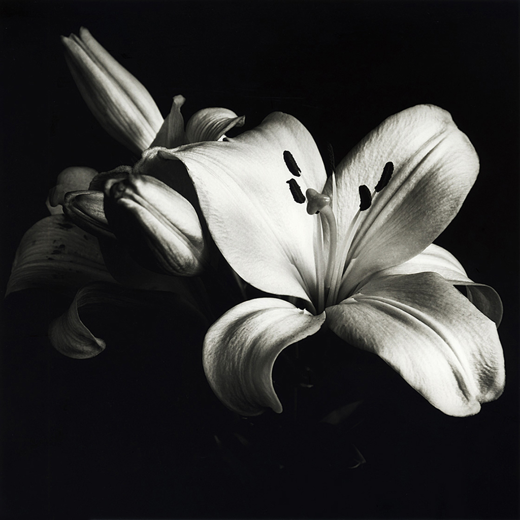 Peter Fallas – Lancashire Monochrome